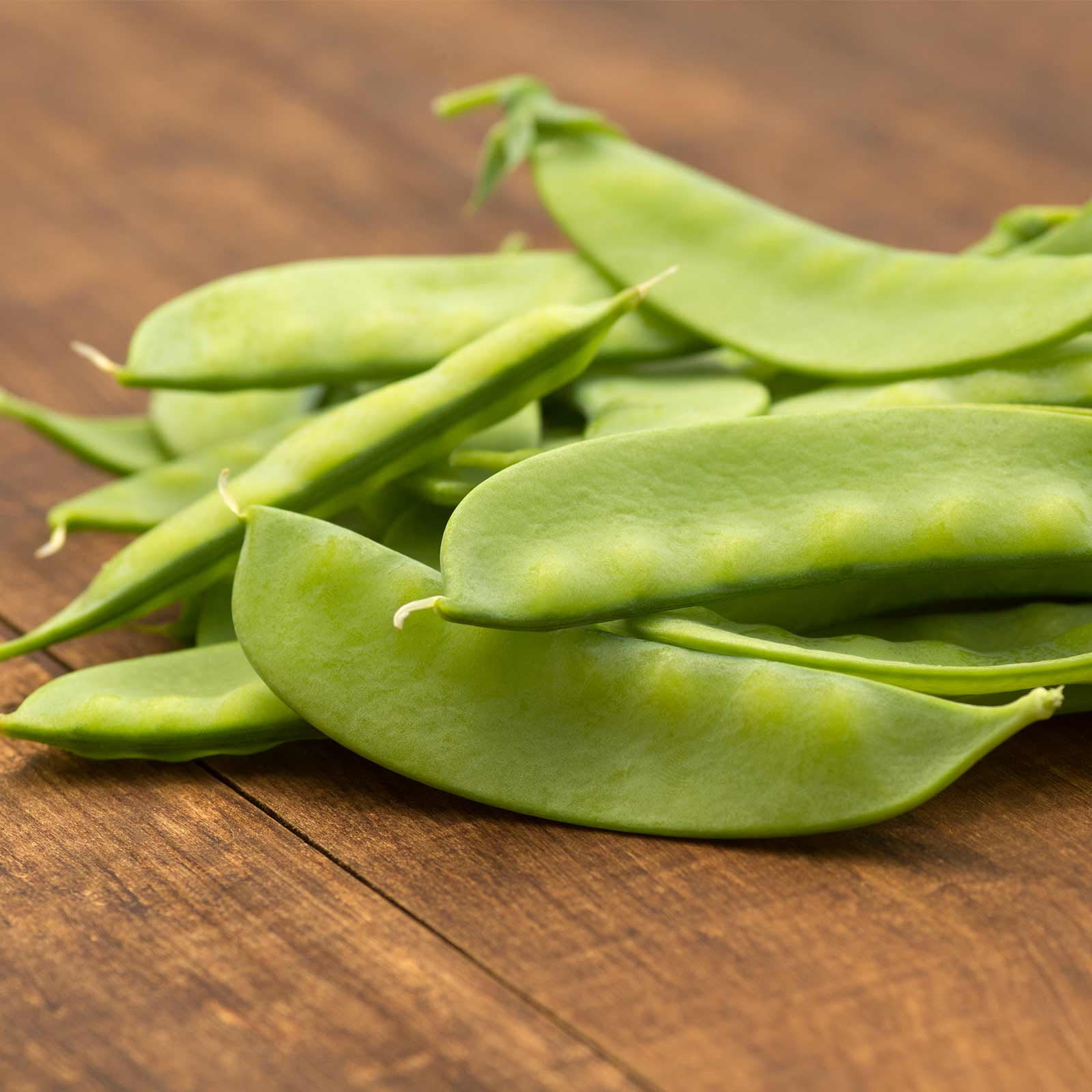 Dwarf Sugar Grey Snow Pea Garden Seeds - 50 Lbs Bulk - Non-GMO ...
