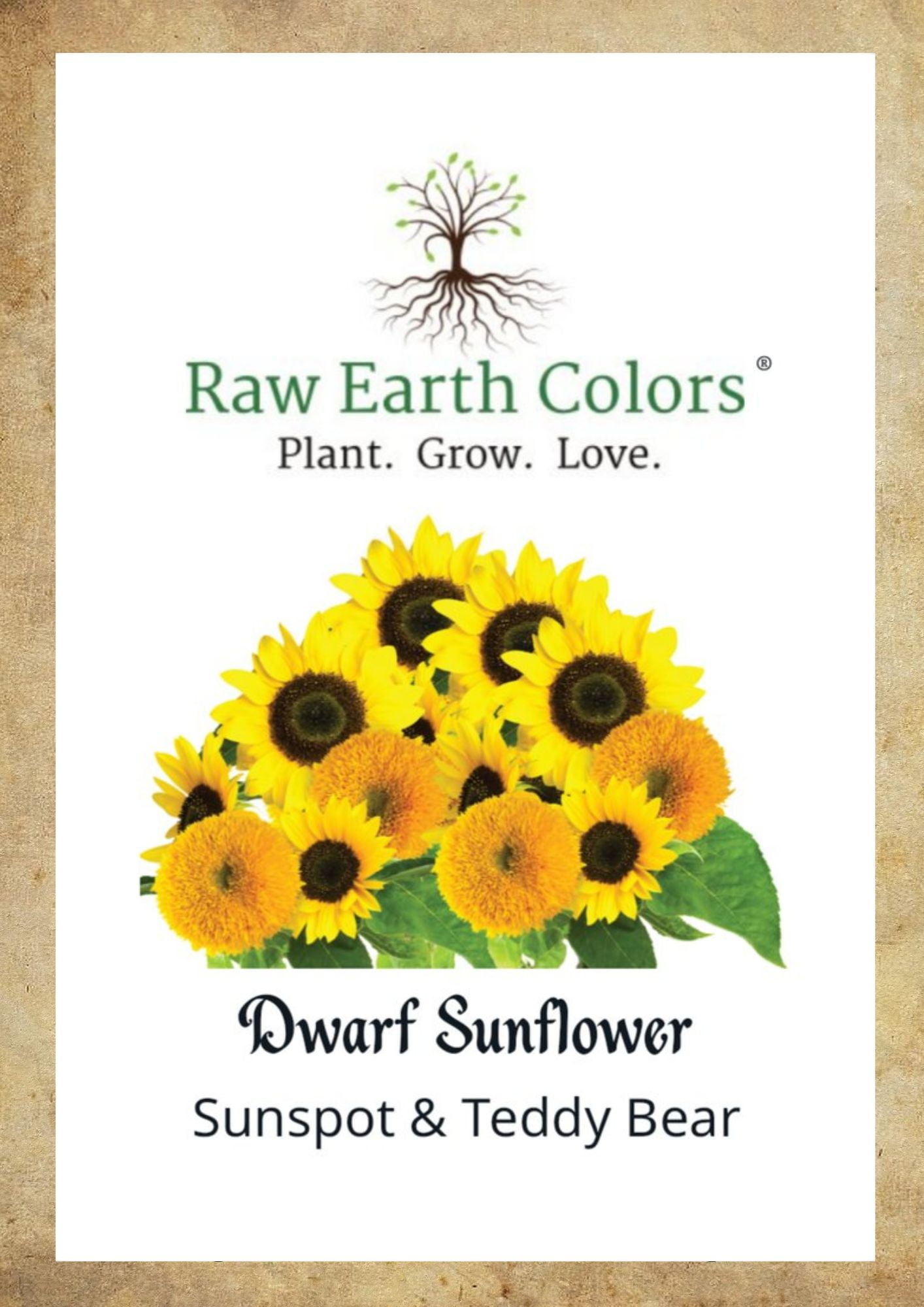 Raw Earth Colors Plant. Grow. Love. 50 Dwarf Sunflower Teddy Bear ...