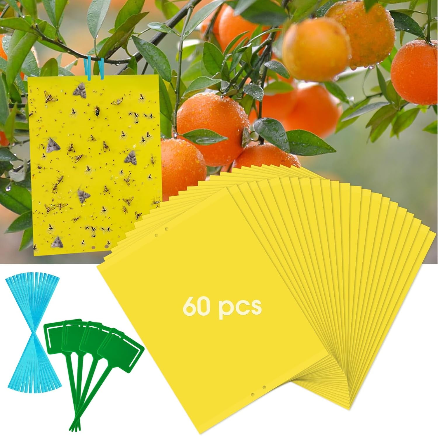 Dwcom 60 Pack Yellow Sticky Traps for Gnats Fruit Fly Traps for Indoors ...