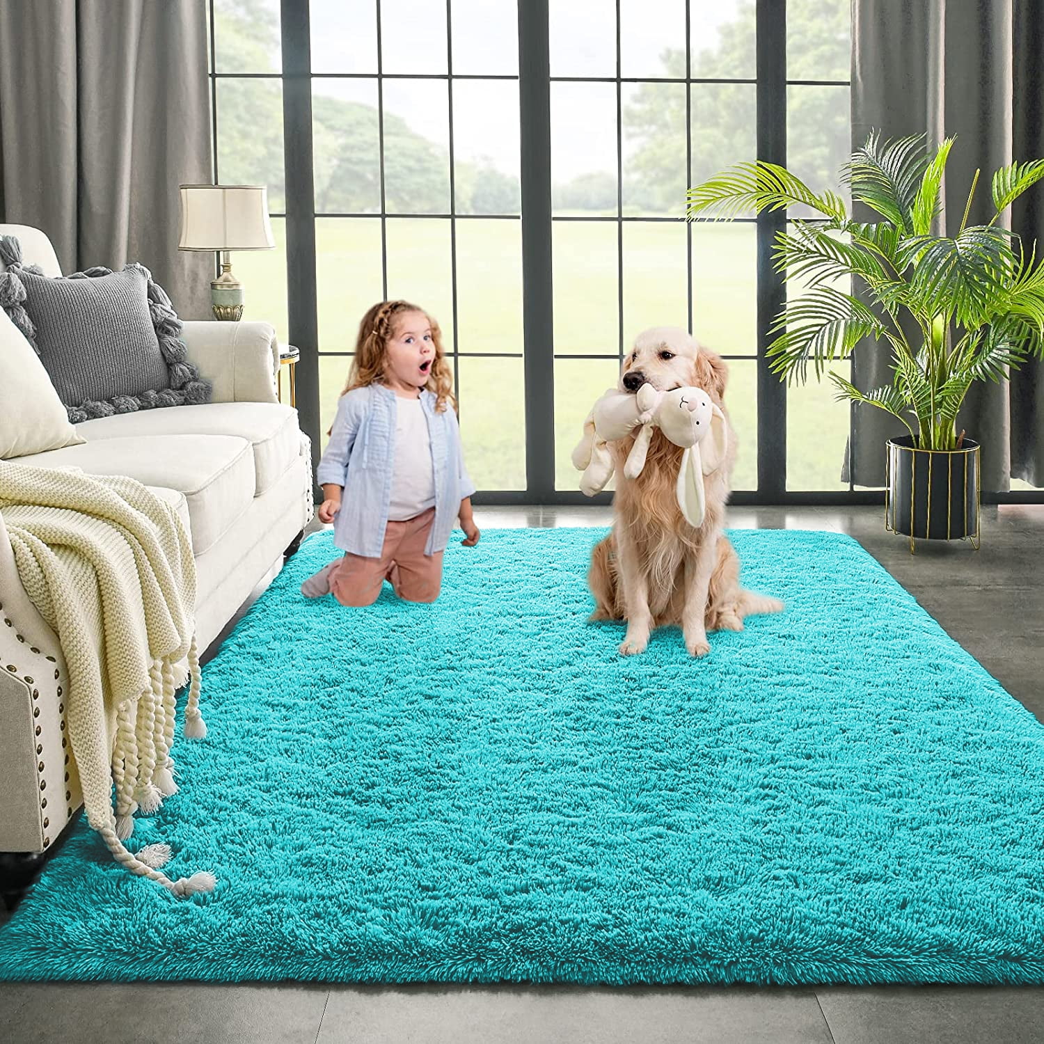 Dwelke Ultra Fluffy Rug Indoor Plush Soft Carpet for Living Room Anti ...