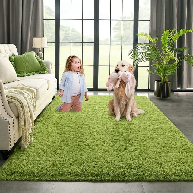 Dwelke Ultra Fluffy Rug Indoor Plush Soft Carpet for Living Room Anti ...