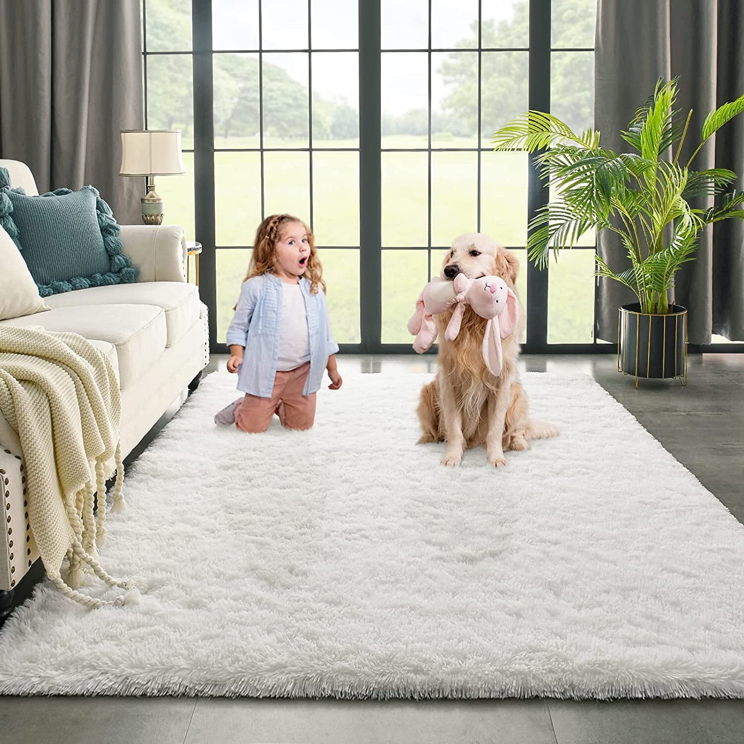 DweIke Ultra Fluffy Rug, Plush Velvet Area Rug, Soft Durable Carpet ...