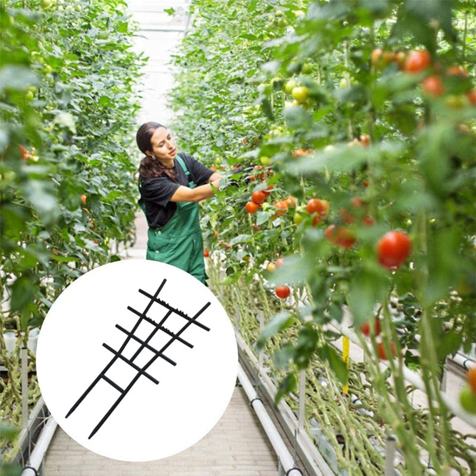 DwellJoy 11 Inch Stackable Plastic Plant Trellis for Climbing Plants ...