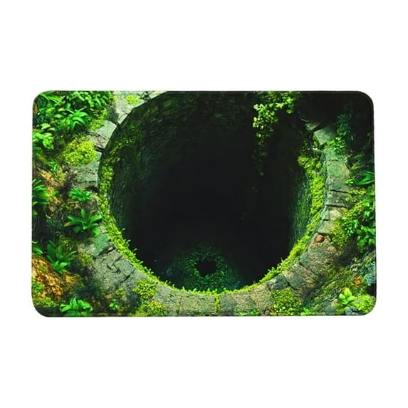 DwellJoy 3D Stereo Visual Effect Door Mat, Super Absorbent Quick Dry ...