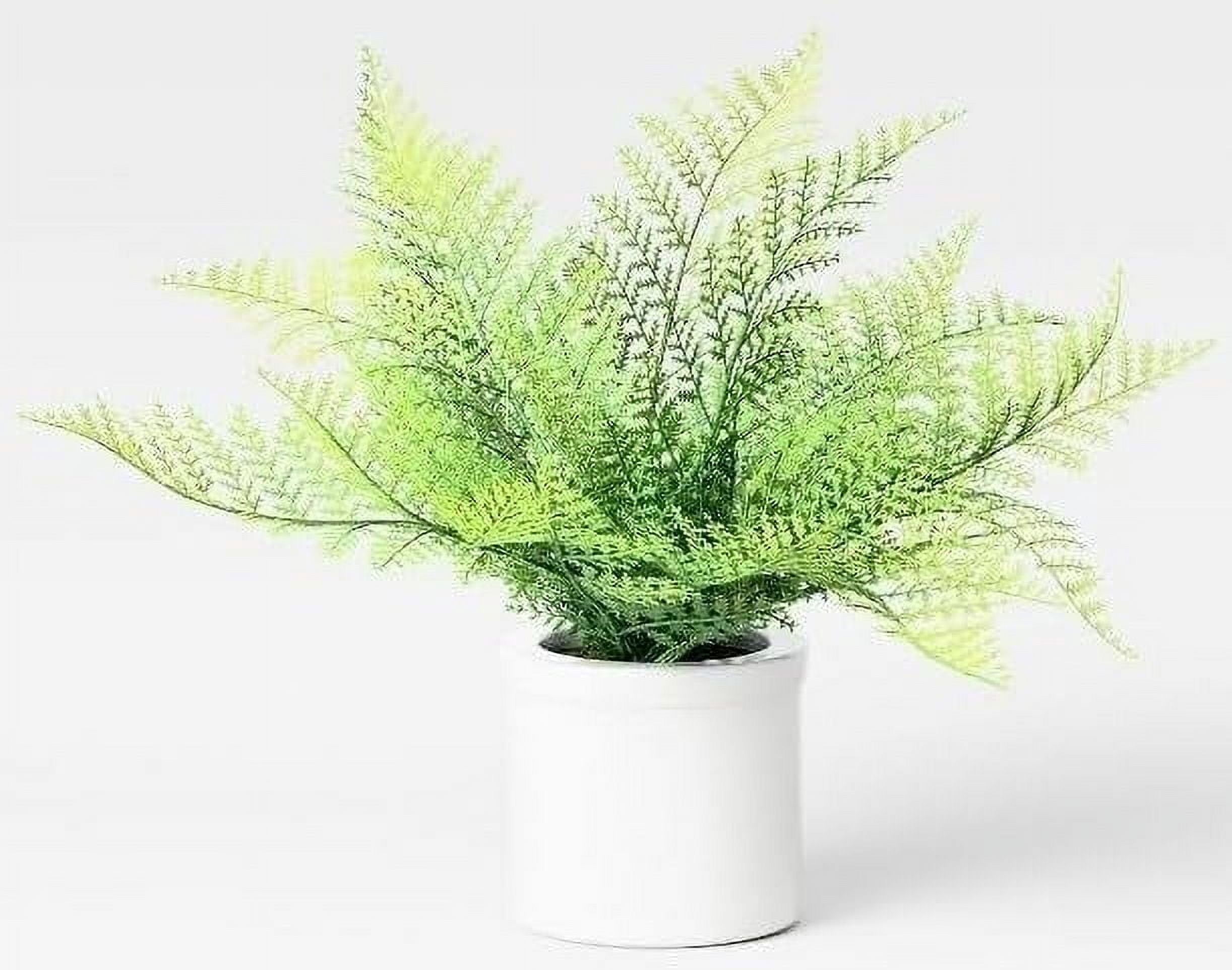 Dwellacy 12 Inch Artificial Fern in Gloss Ceramic Pot 4 Count - Walmart.com