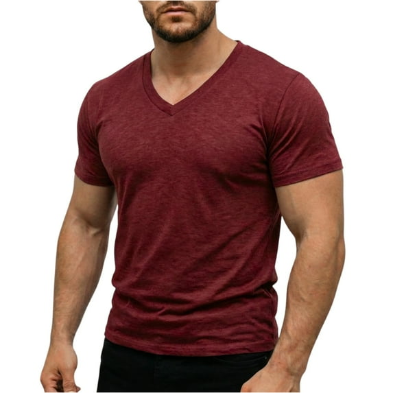 Dwelliawo Men's Summer Basic T Shirts Oversized Soft Tee Shirts V Neck ...