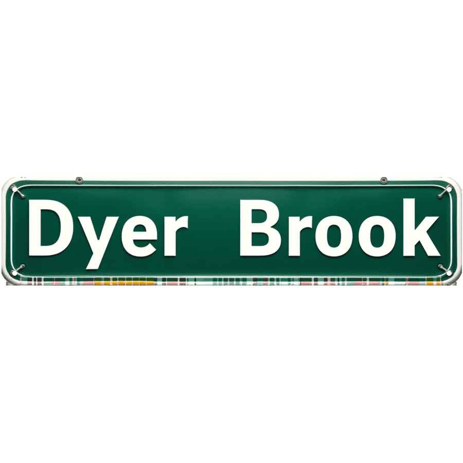 Dyer Brook Vintage Tin Sign - 16x4 Inches - Ideal for Farmhouse, Man ...