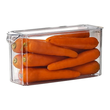 Fridge Locker Box - Portable Refrigerator Food, Snacks, Beverage ...