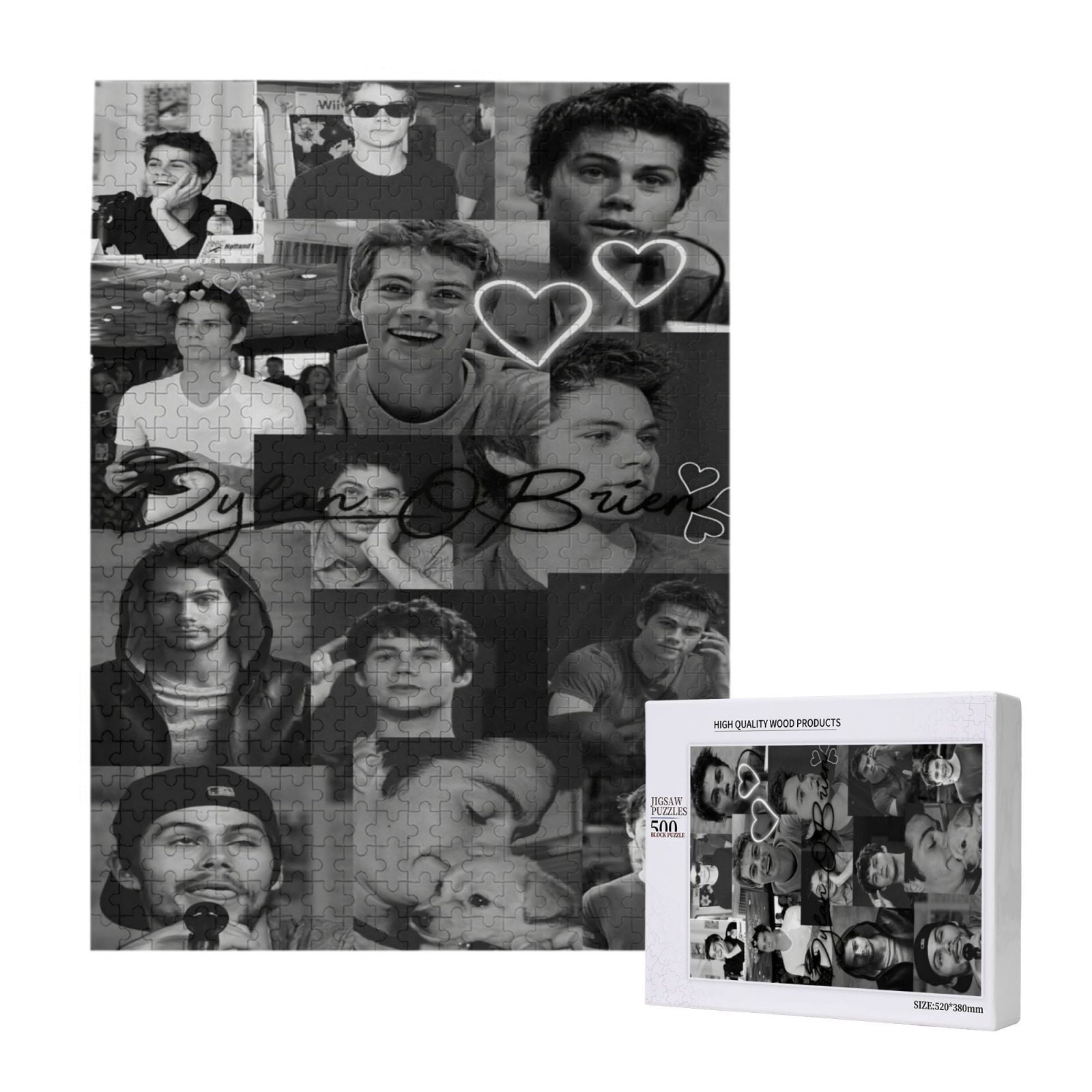 Dylan O'Brien Jigsaw Puzzle Interactive Brain Teaser Board Game for ...