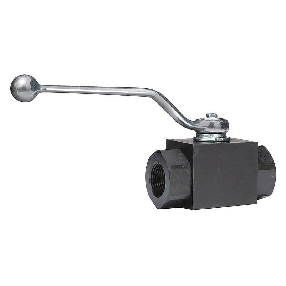 Dynaquip Controls Manual 2-Way Ball Valve,NPT,Carbon Steel VAE2.A0 1 ...