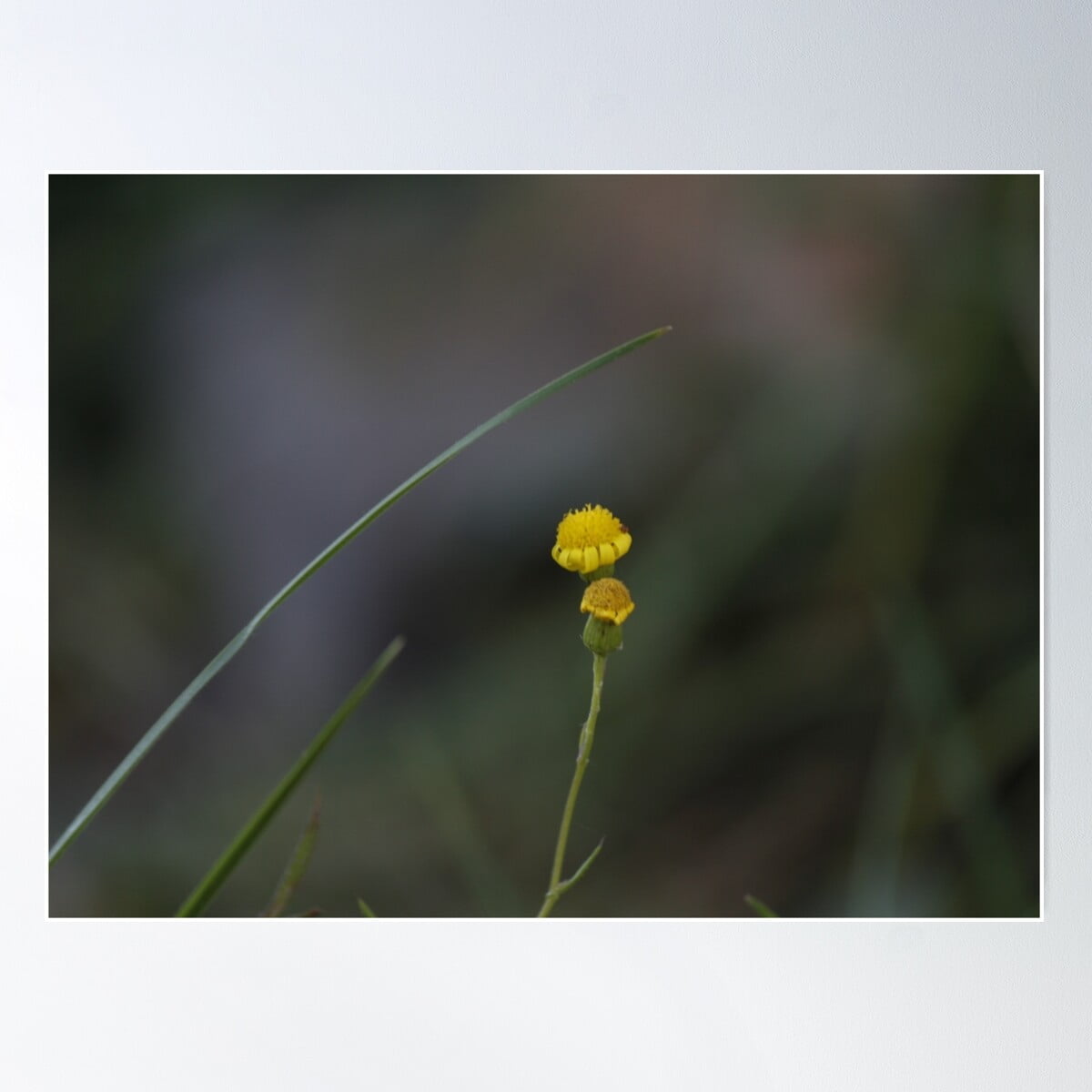 Dystopia Poster Wall Art, Modern Wall Decor For Living Room Bedroom ...