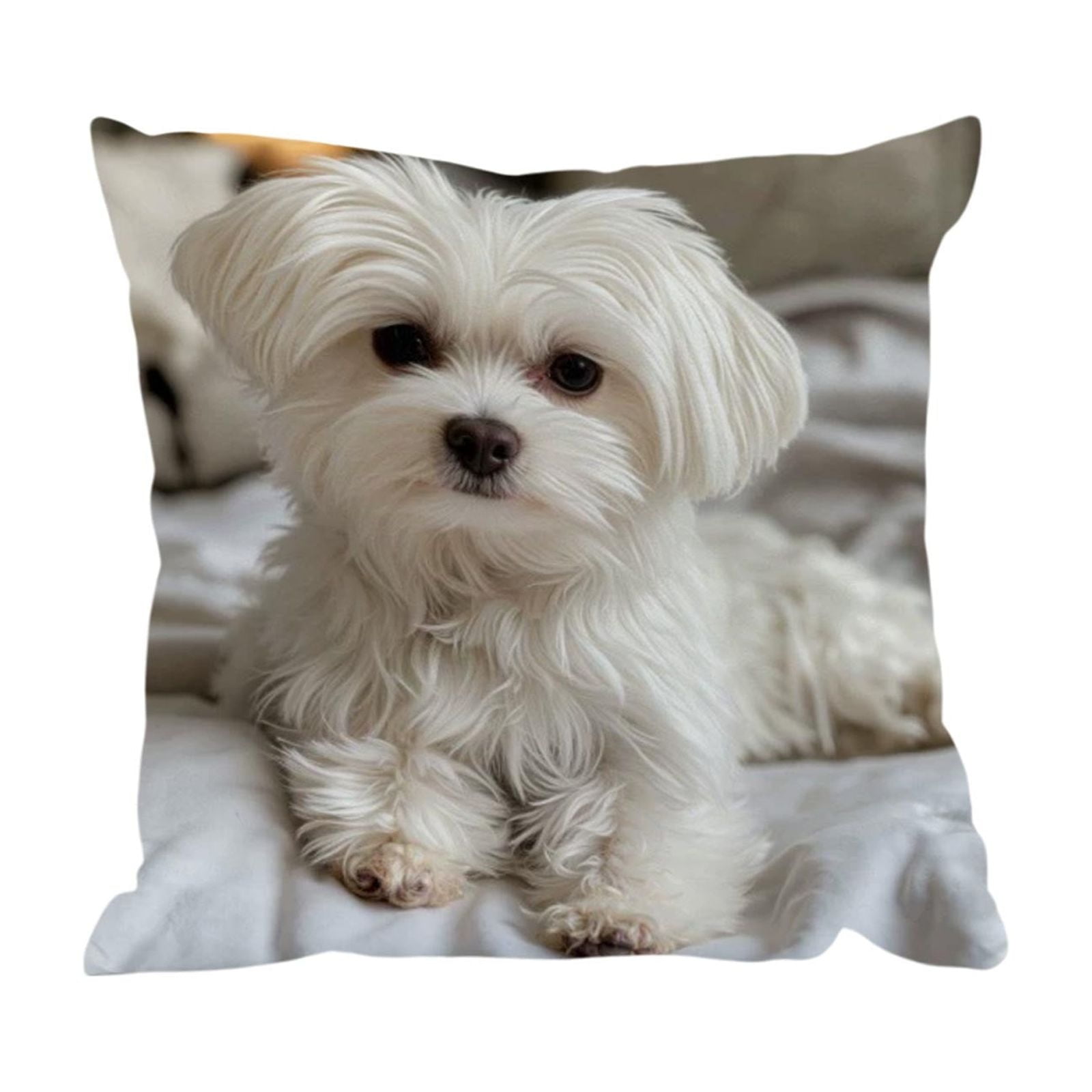 E Cute Animals Print Flannel Pillow Cover For Sofa Living Room Decor 1 ...