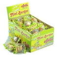 E.Frutti, Sour Mini Burger Gummi, Count 60 (0.31 oz) - Sugar Candy ...