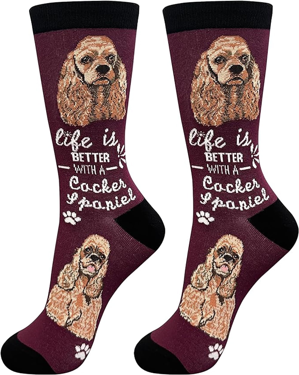 E&S Pets Pet Lover Socks, Life is Better with a Cocker Spaniel ...