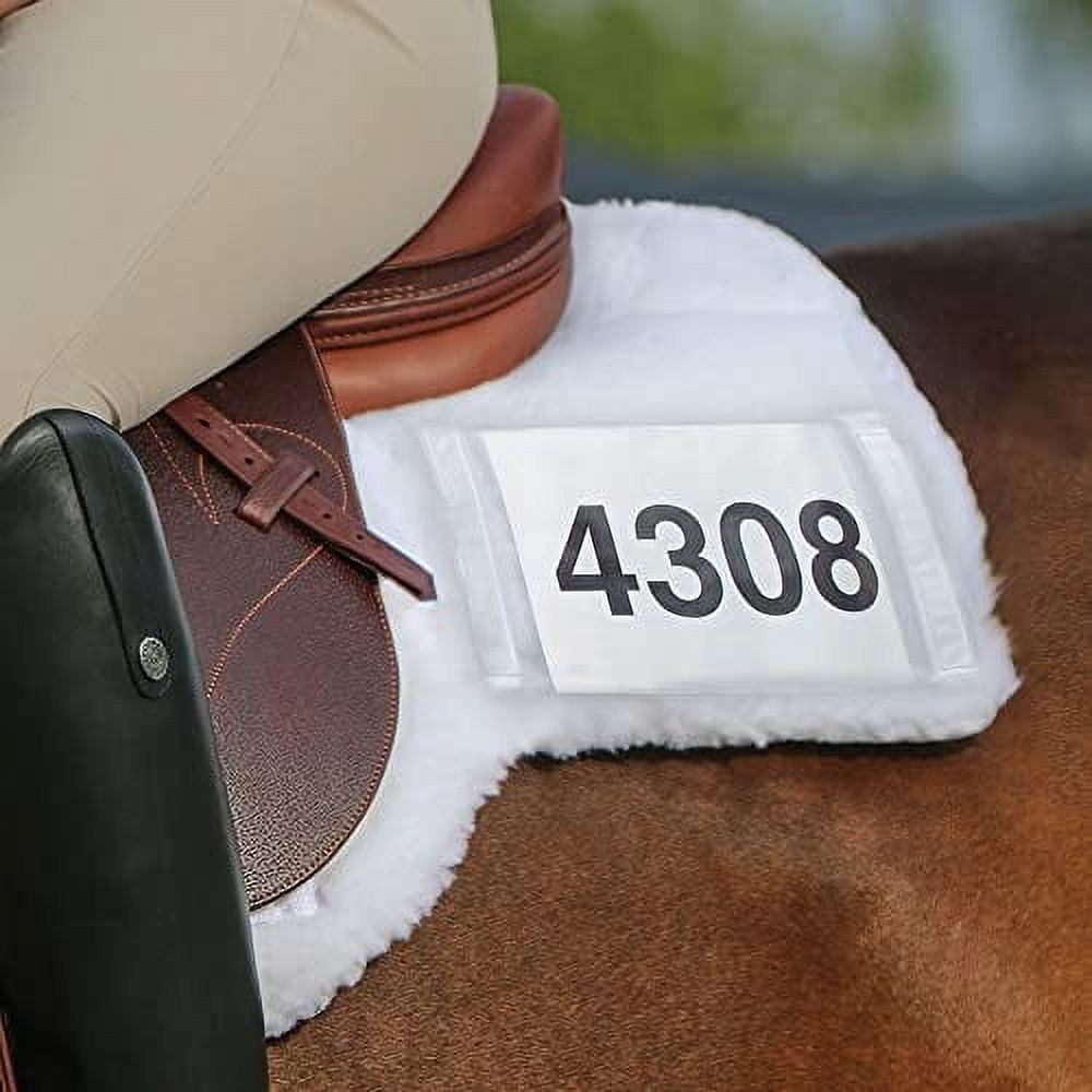 E-Z View Pad with Non-Glare Number Pockets - Regular Size | Enhance ...