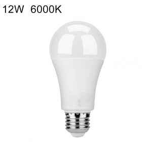 12 Watt Bulbs