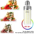 E26 LED Bulb,25W LED Corn Light Bulb 200W Equivalent 6500K Cool ...