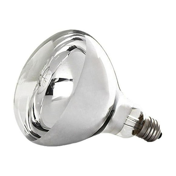Bathroom Exhaust Fan Light Bulb