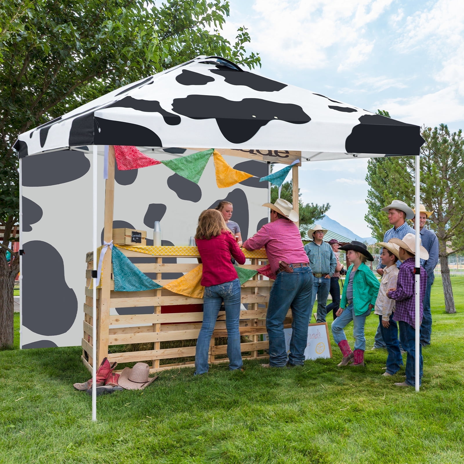 EAGLE PEAK 10 x 10 Pop up Canopy Tent with 1 Detachable Sidewall ...