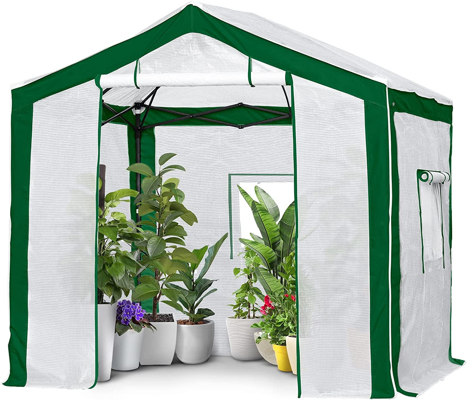 EAGLE PEAK 8 x 8ft Portable Walk-in Greenhouse with Roll-up Zipper ...