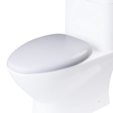 EAGO R-222SEAT Replacement Soft Closing Toilet Seat for TB222 - Walmart.com