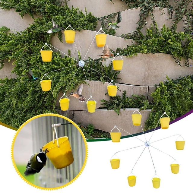 EARKITY Ferris Wheel Bird Feeder, Ferris Wheel Toy for Bird with Feeder ...
