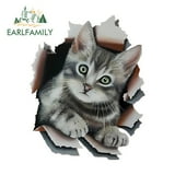 EARLFAMILY 13cm X 12cm for Cute Cat Graffiti Car Sticker Car ...