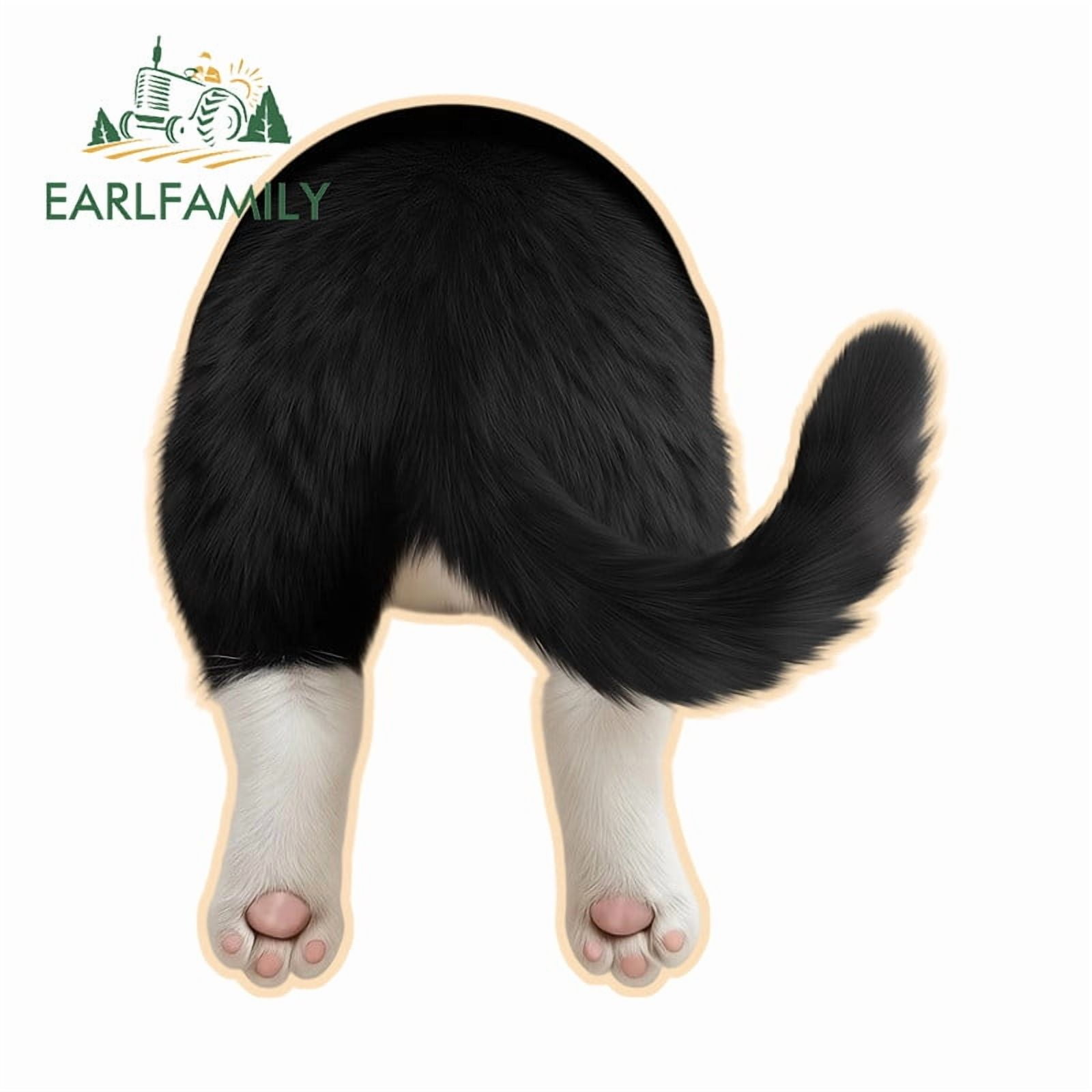 EARLFAMILY 5.1" Cat Ass Cartoon Car Stickers Personality Motorcycle ...