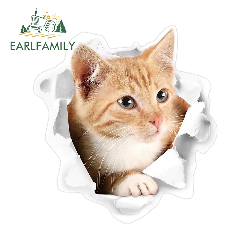 EARLFAMILY 5.1 Inch Cat Tear Car Sticker Energetic Creative Waterproof ...