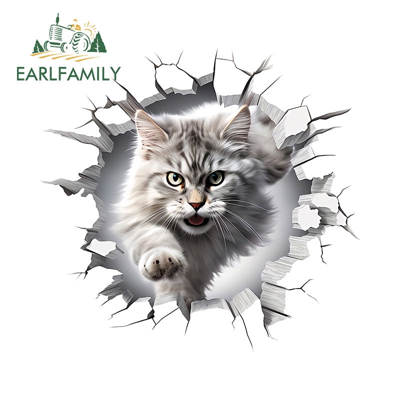 EARLFAMILY 5.1 Inch Cat Tear Chibi Car Sticker Windshield Motorcycle ...