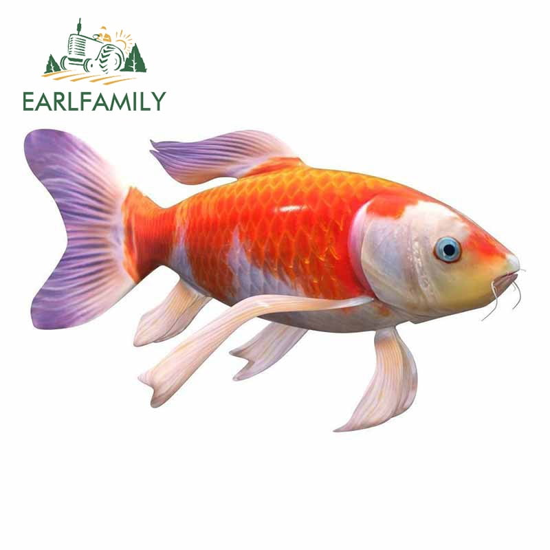 EARLFAMILY 5.1 Inch Koi Fish Carpe Diem Tattoo Skull Personality Car ...