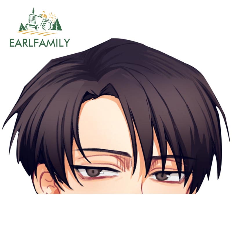 EARLFAMILY 5.1 in for Peek Car Stickers Motorcycle Anime Decal ...