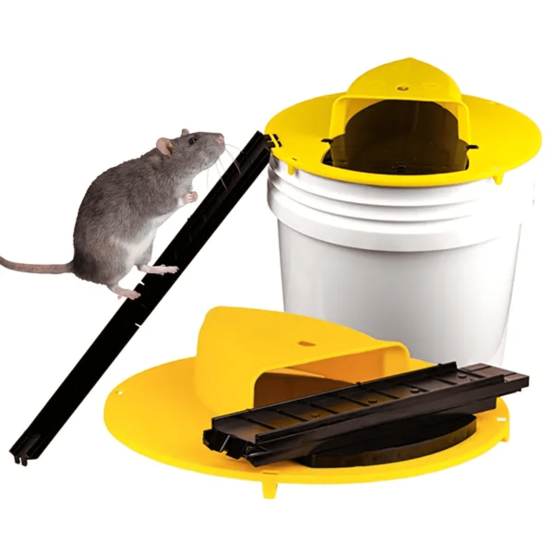 EARTHMOUNT Humane Mouse Trap Bucket Lid, Auto-Reset Flip-N-Slide Rodent ...