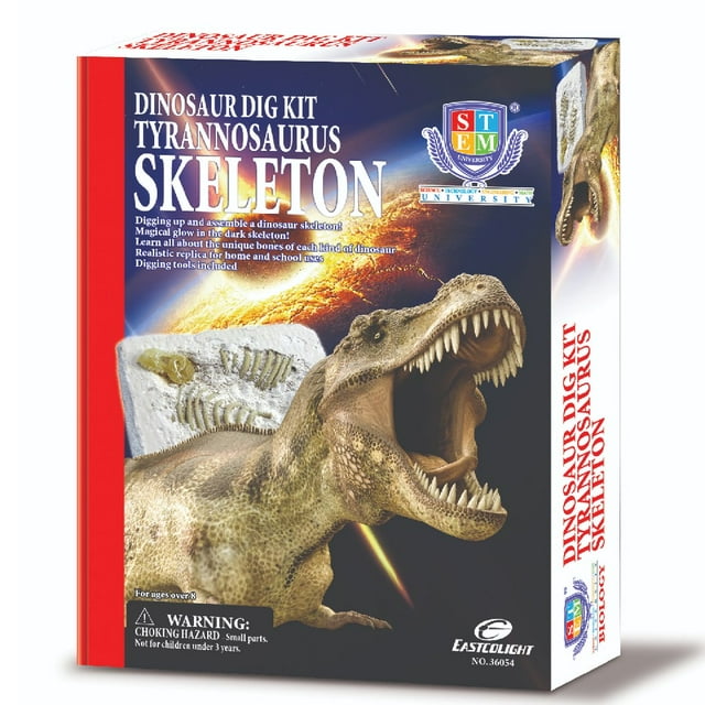 EASTCOLIGHT Dinosaur Excavation Kit For Kids, Dinosaur Dig Kits ...