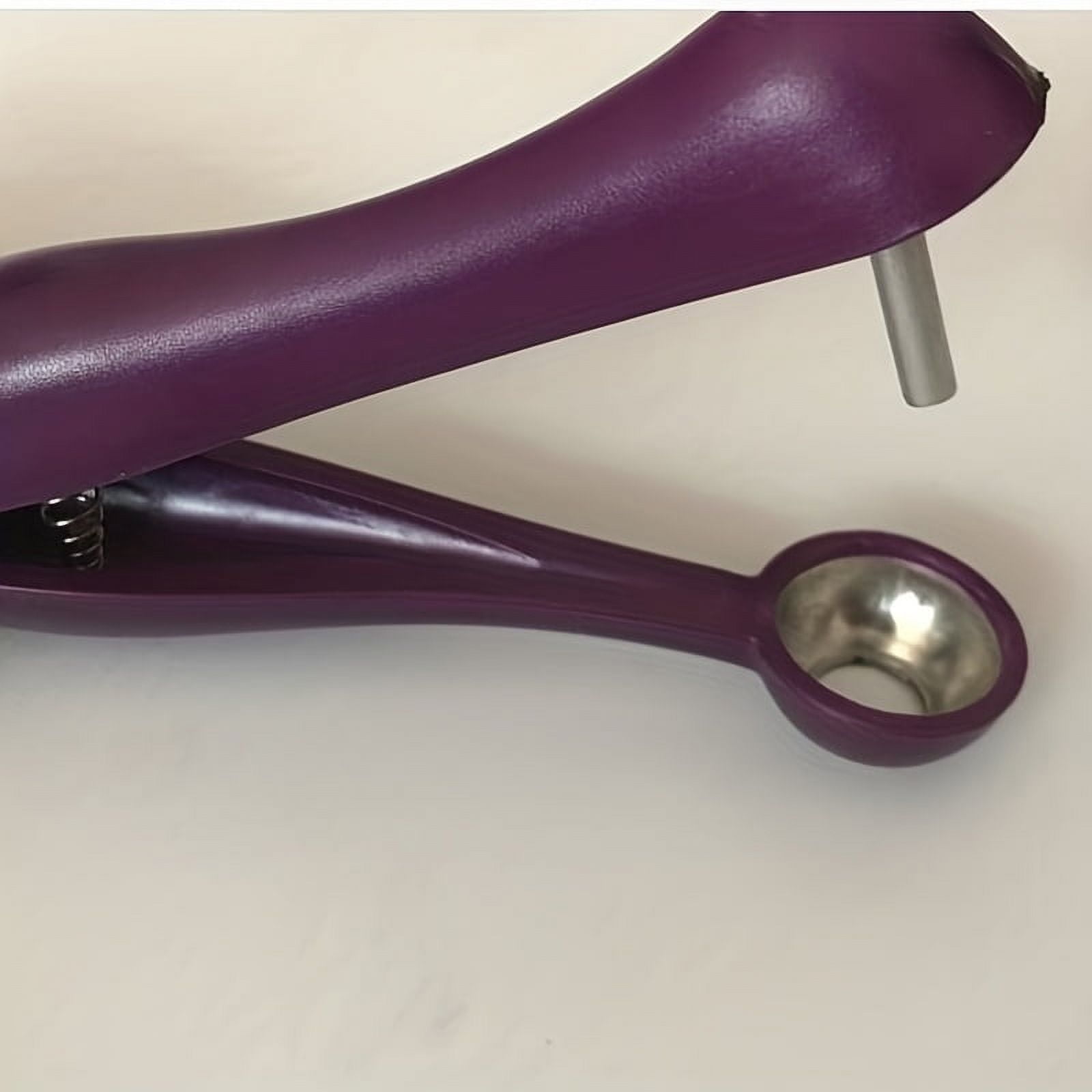 EASTIN Fruit RV Kitchen Pitter Remover Olive Corer Remove Pit Tool Seed ...