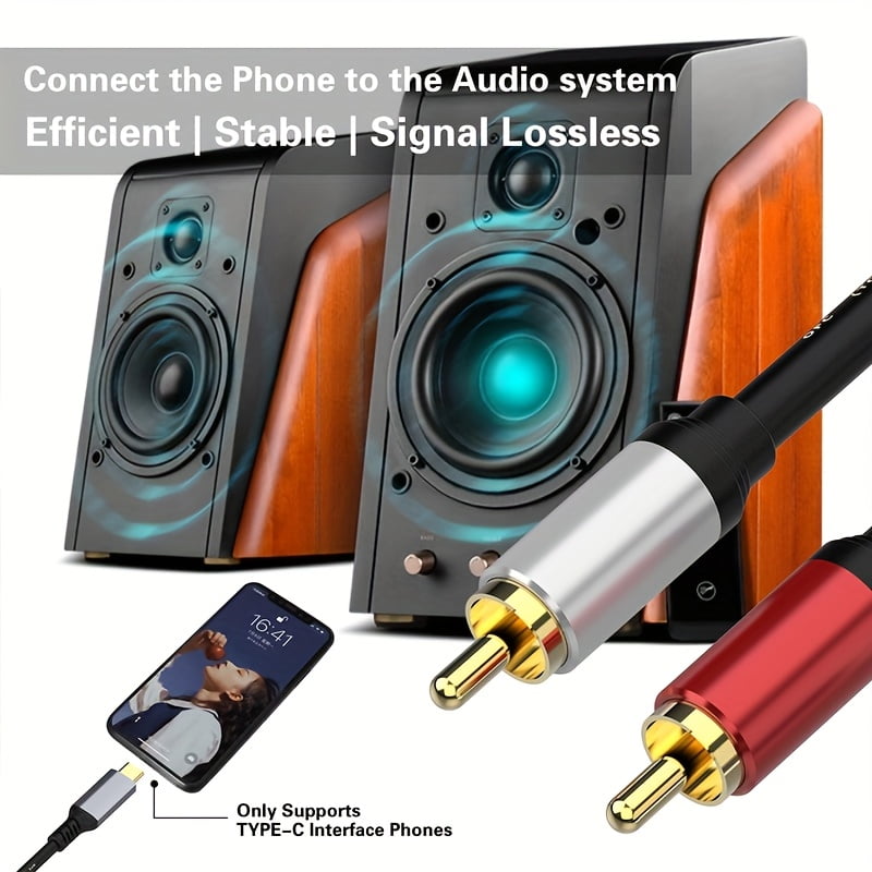 EBXYA Type-C to Dual RCA Stereo Audio Cable,3.3ft Red & Gray Threaded ...