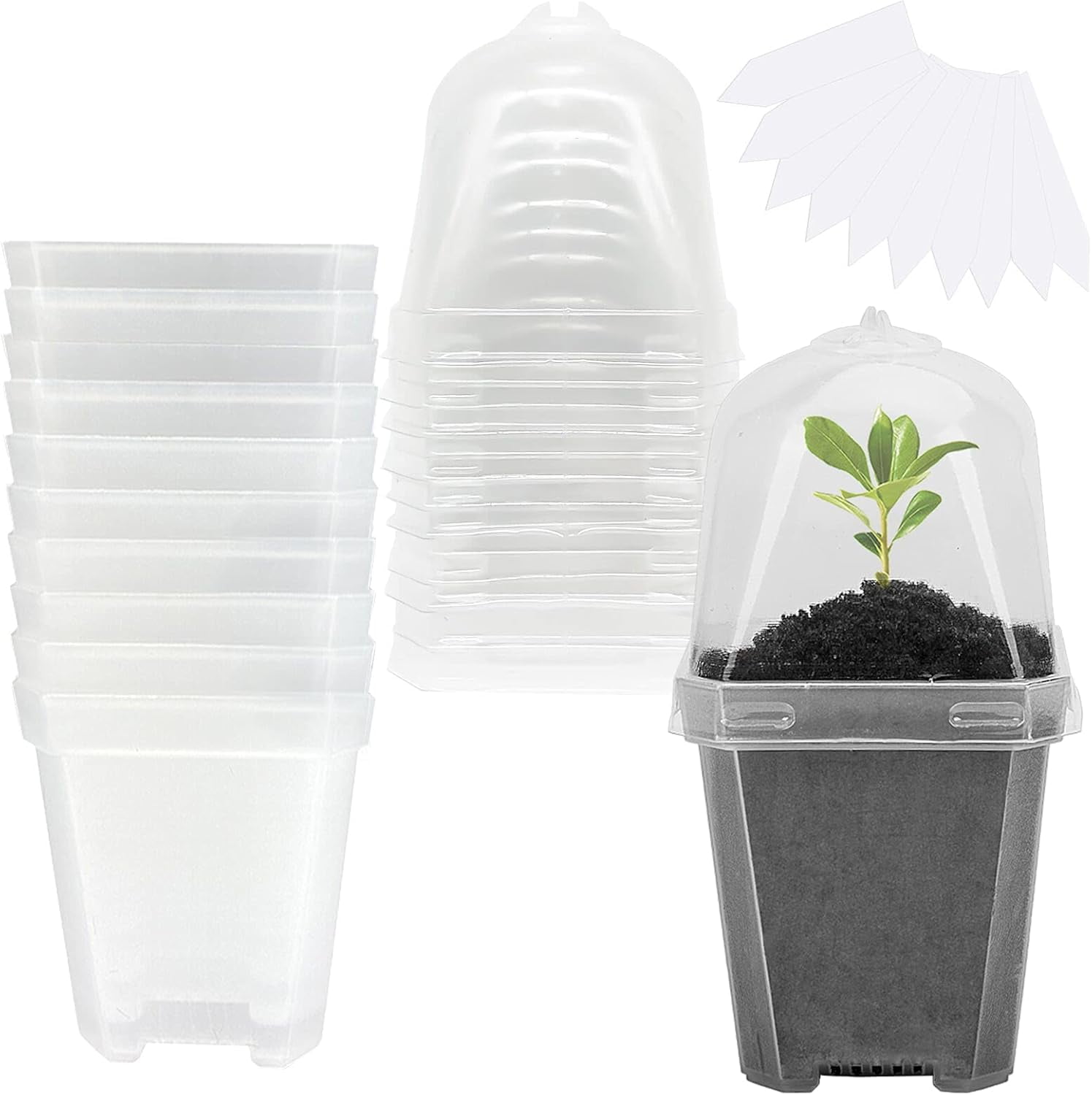 EBaokuup 10PCS Clear Plant Nursery Pots with Humidity Dome - 3" Plastic ...