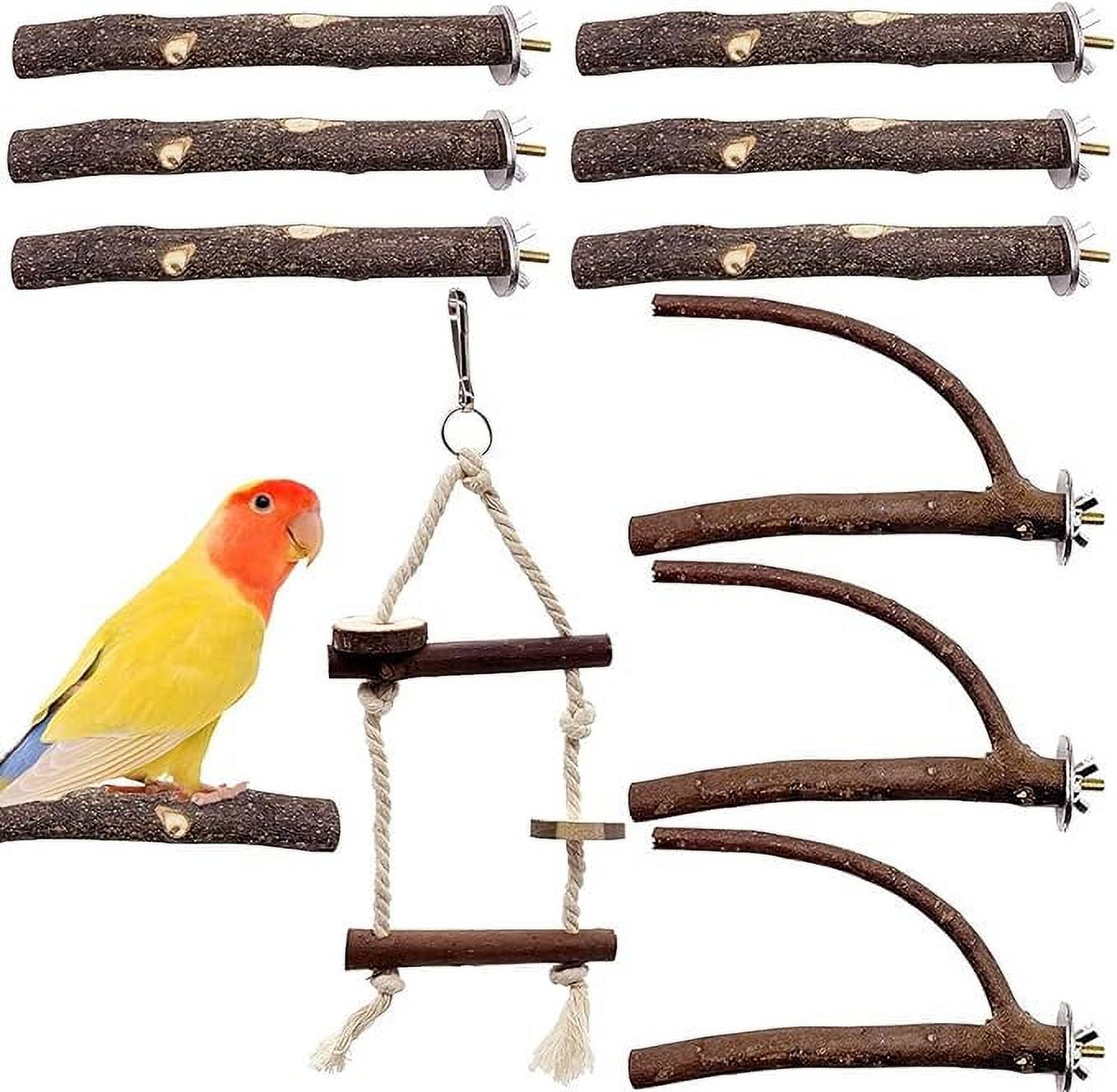 EBaokuup Bird Parrot Perch Stand Set - 10 PCS Natural Wood Bird ...