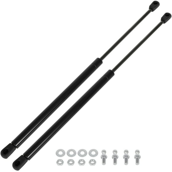 Leer Canopy Gas Struts
