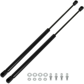 Leer Canopy Gas Struts