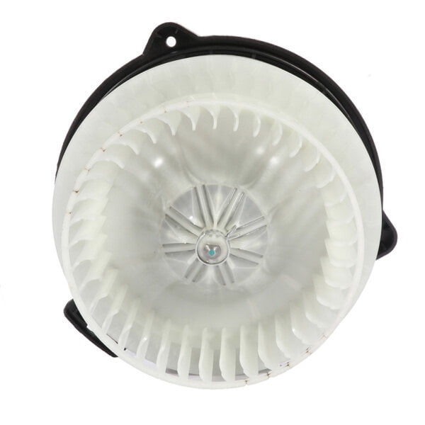 ECCPP HVAC Plastic Heater Blower Motor w/Fan Cage fit for 2001 2002 ...