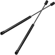 Pontiac Sunbird Liftgate Lift Support
