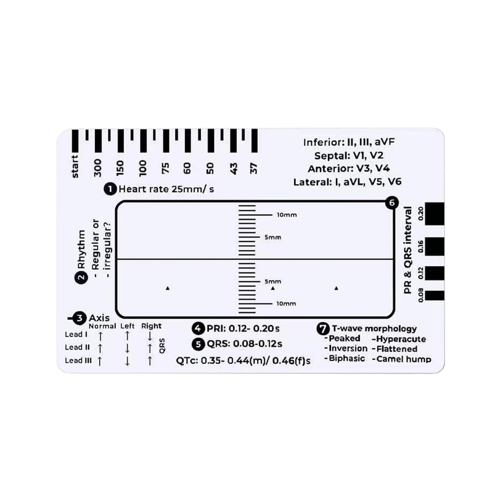 ECG 7 Step Ruler, ECG 7 Step Ruler for ECG/EKG Interpretation, ECG ...