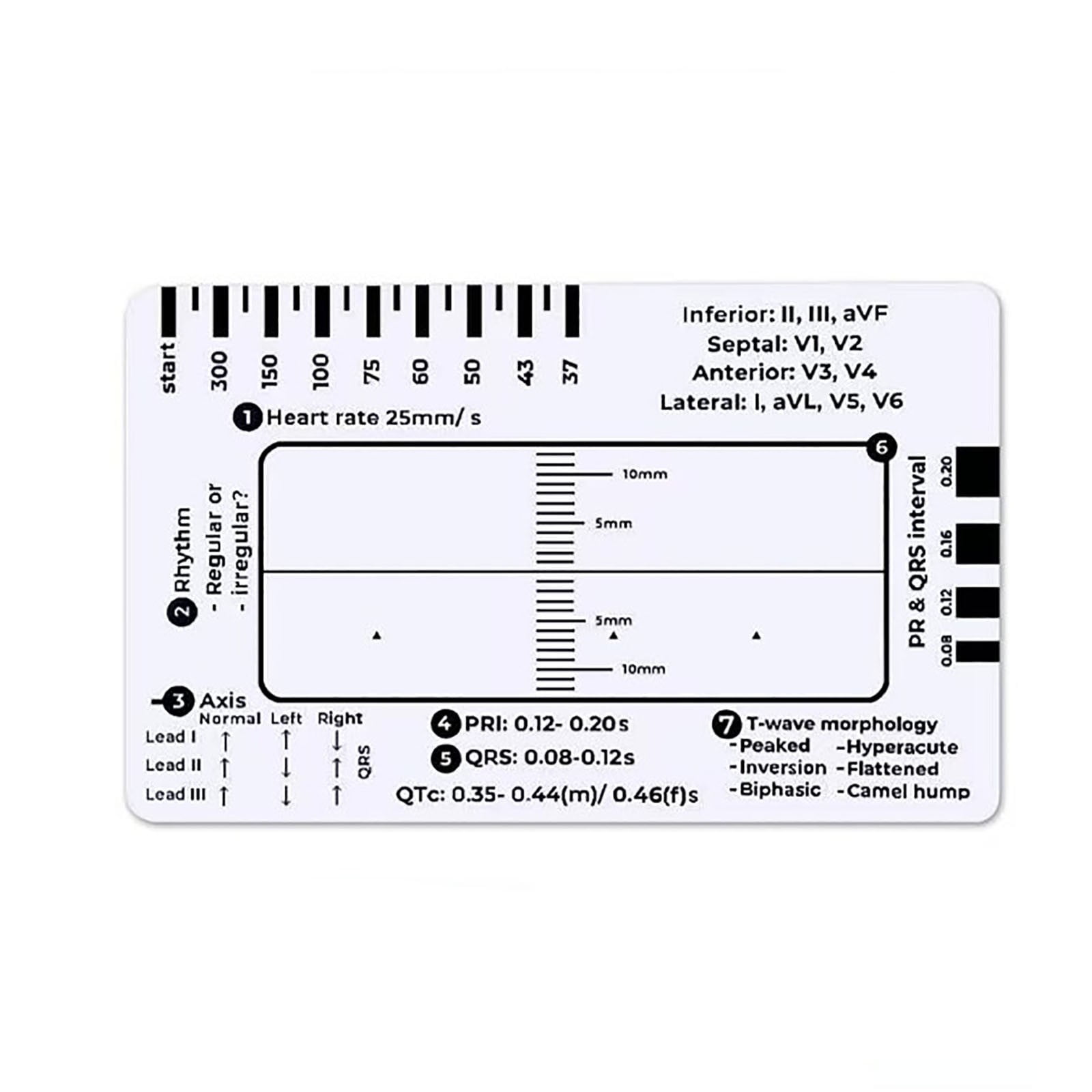 ECG 7 Step Ruler,ECG 7 Step Ruler for ECG/EKG Interpretation,ECG Ruler ...