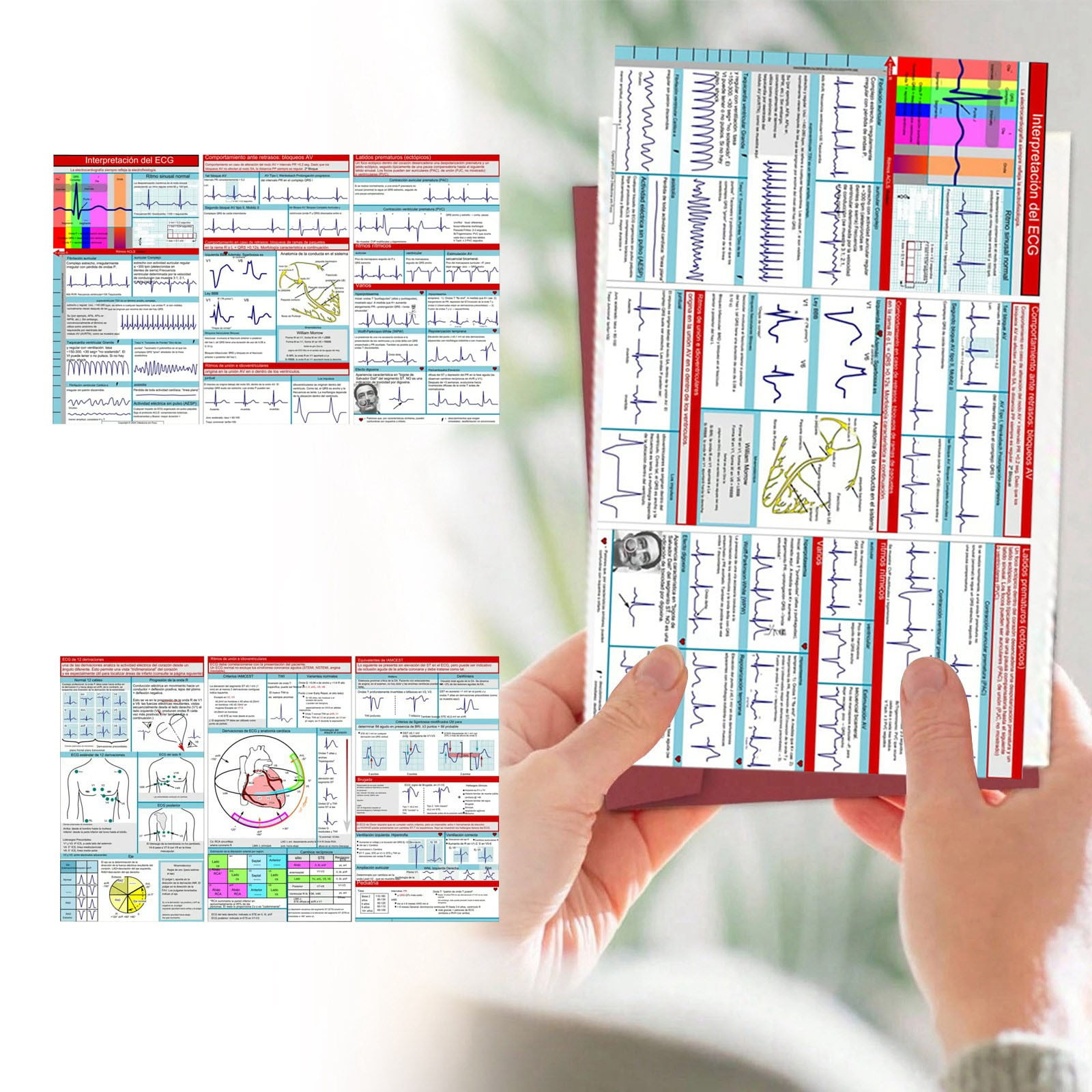 ECG pocket guide, ECG rhythm interpretation, compact double-sided ...