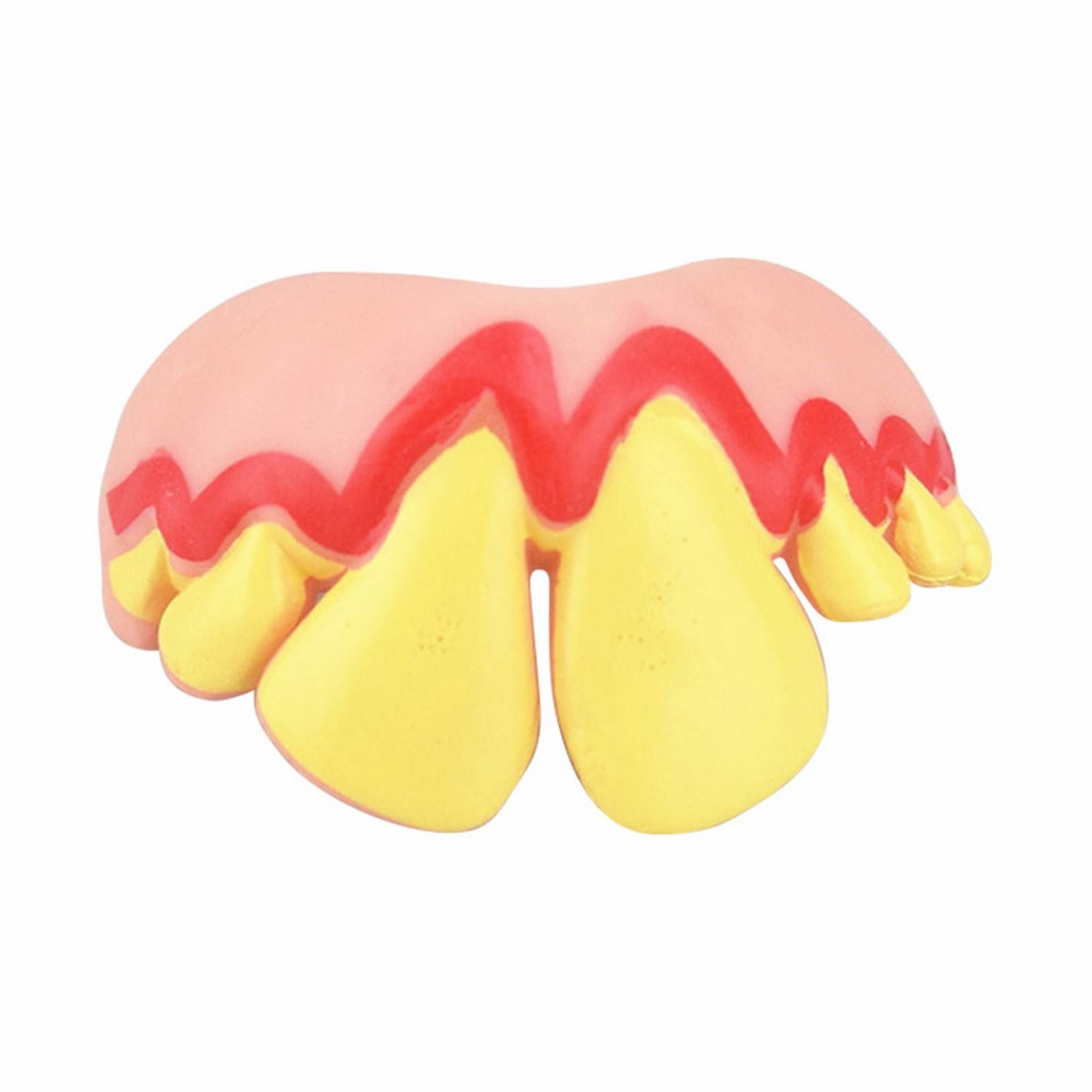 ECHOYY Gnarly Teeth Teeth Teeth Denture Teeth For Party Photos Props ...