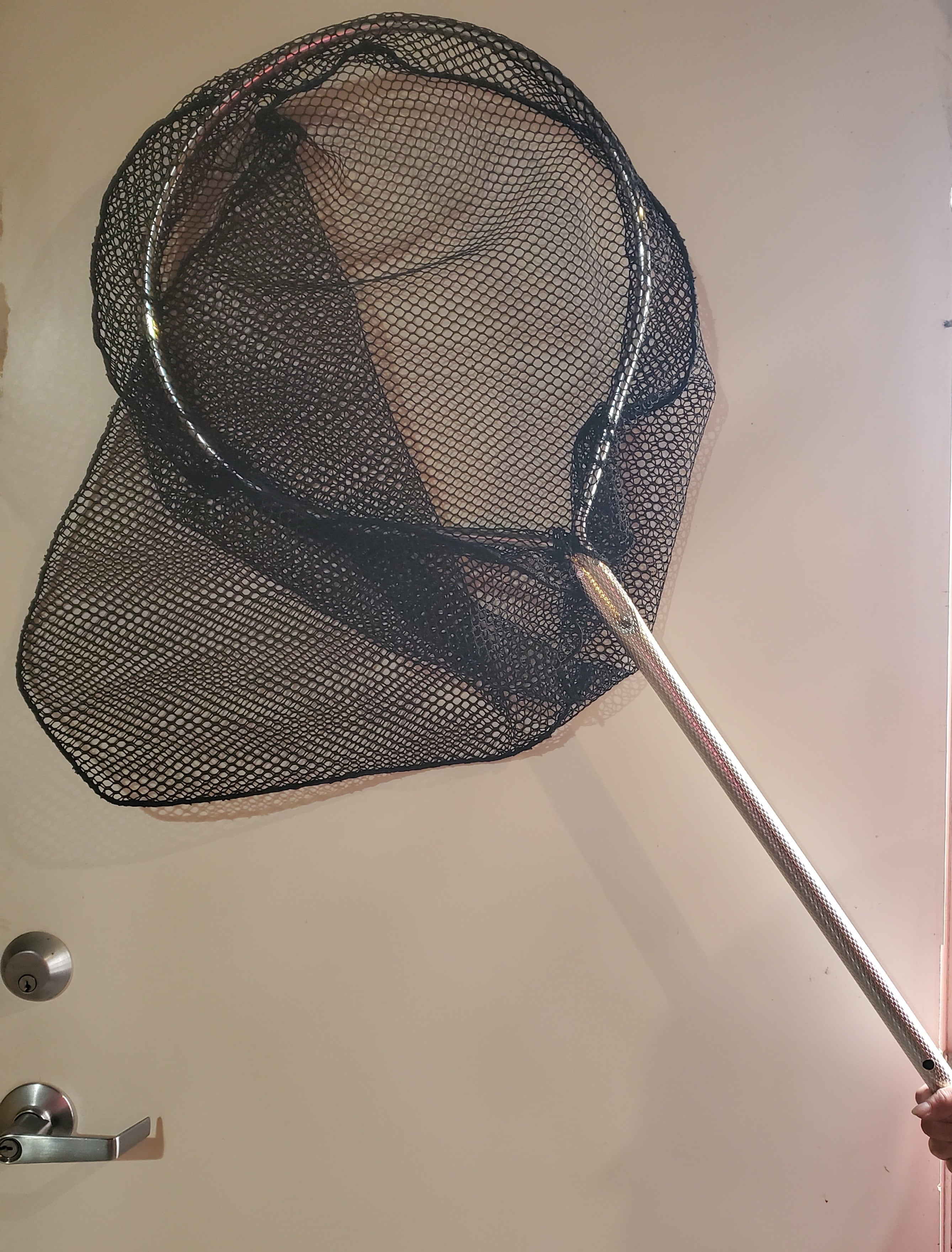 ECN Heavy Aluminum Handle Catching Net - Walmart.com