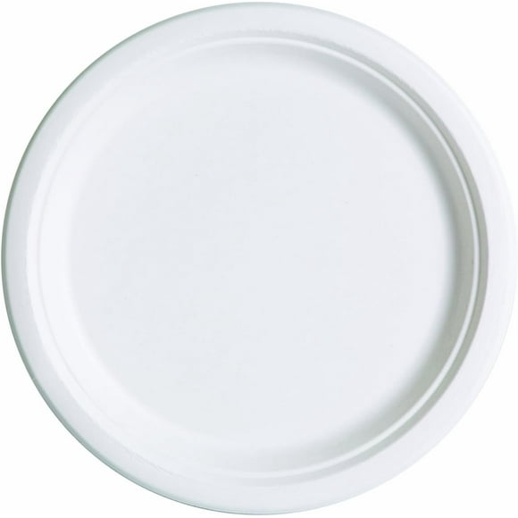 Foam Plates in Disposable Tableware - Walmart.com