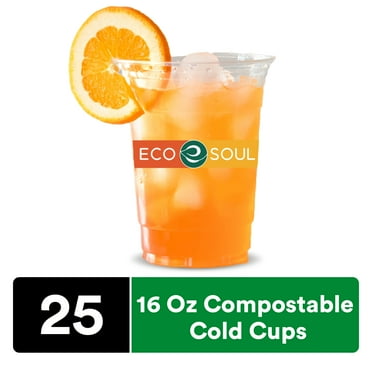 Solo Cup Company 4 Oz Polystyrene Portion Cups, Black, 250 count, (Pack ...