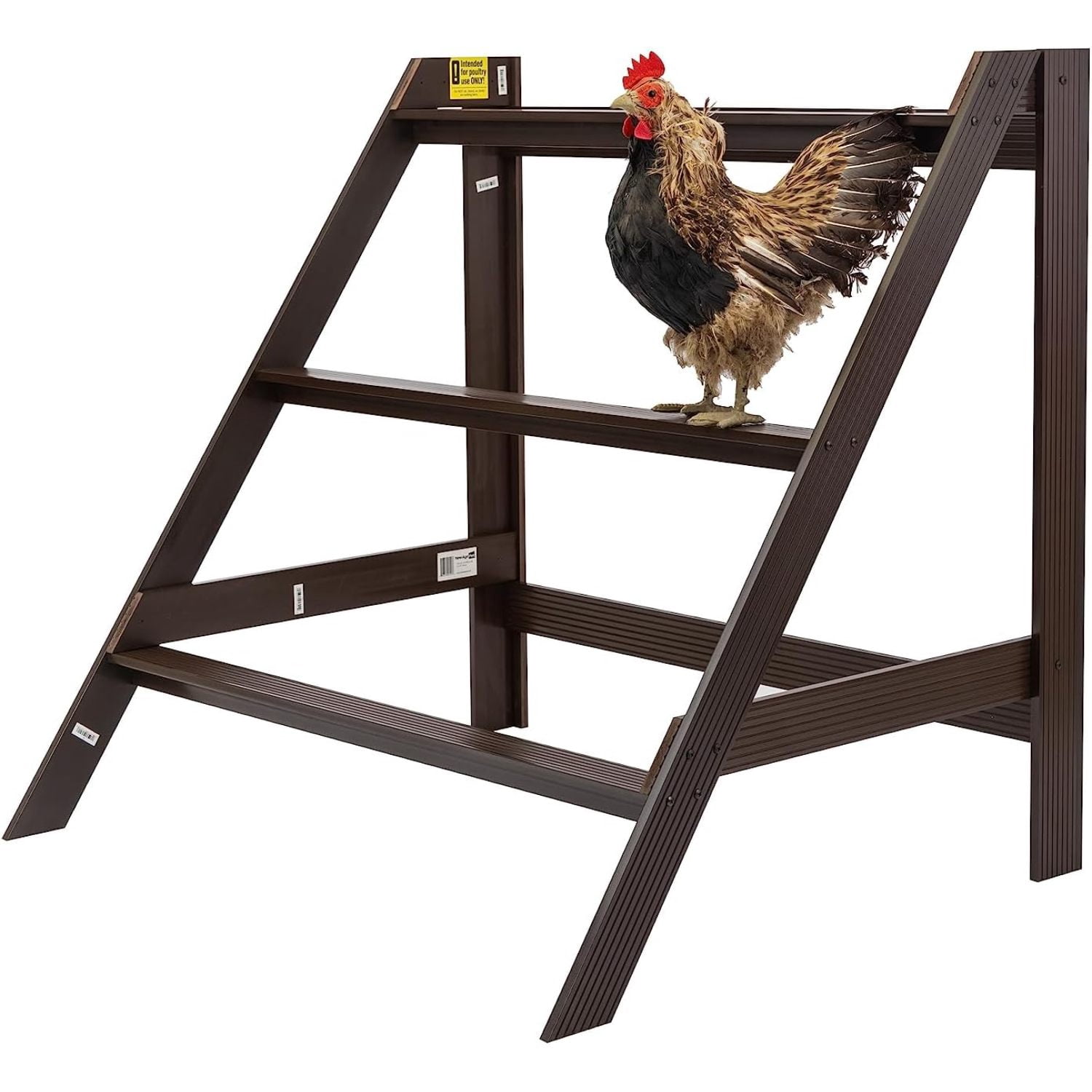ECOFLEX Large L Frame Chicken Perch in Walnut, Perfect for Up to 12 ...